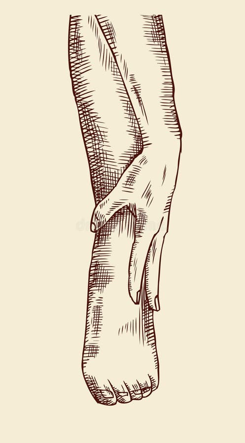 Female hand and leg stock vector. Illustration of attractive - 31730086