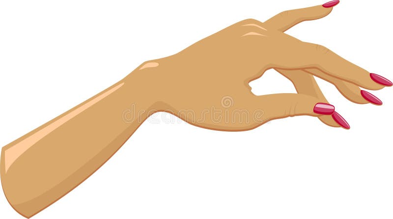 Female hand with manicured stock vector. Illustration of palm - 14167347