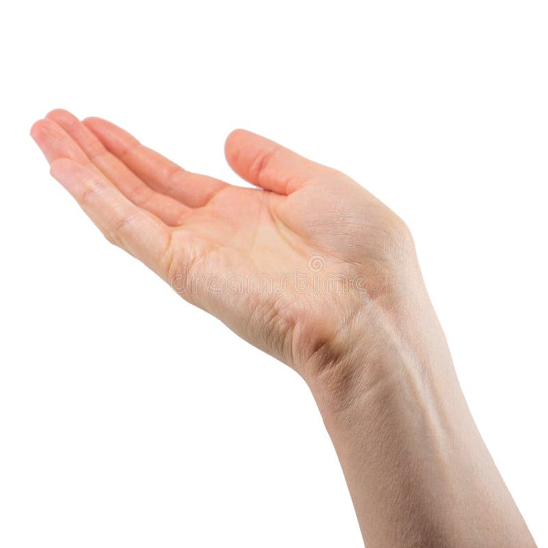 Palm object Looking stock photo. Image of healthy, studio - 37506344