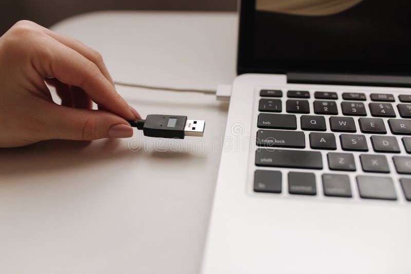 Female Hand Put USB Adapter To Copy File by Laptop Stock Photo - Image ...