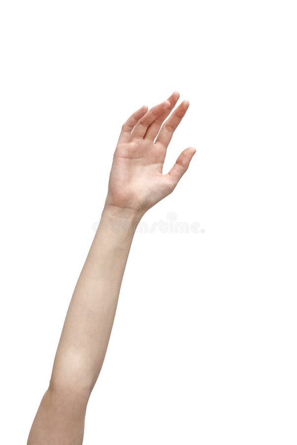 Female Hand Reaching Out on Isolated Background Stock Image - Image of ...