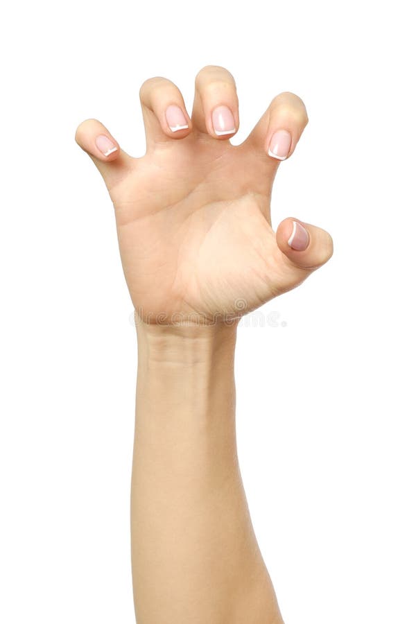 534 Female Hand Reaching Something White Stock Photos - Free & Royalty ...