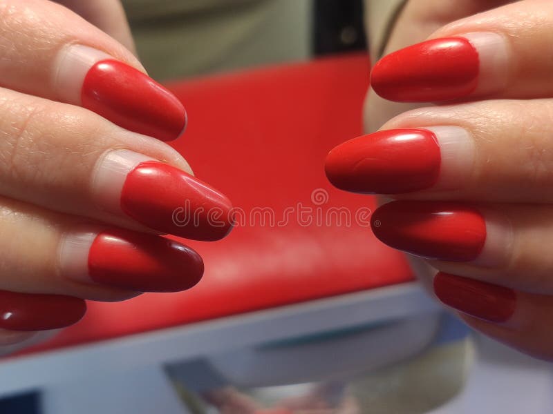 Female Hand with Regrowth Shellac Manicure in Two Months after ...