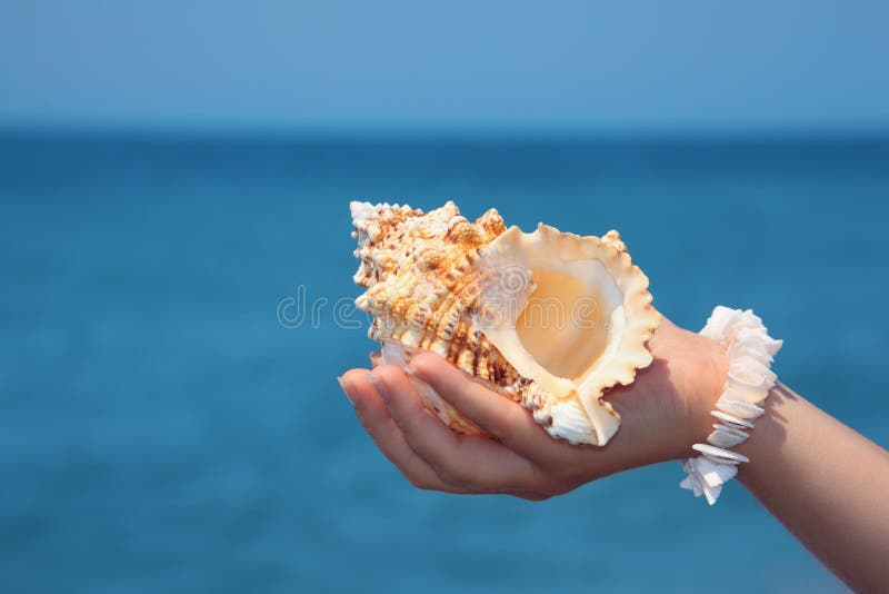 Female Hand with Seashell on Seacoast Stock Photo - Image of girl ...