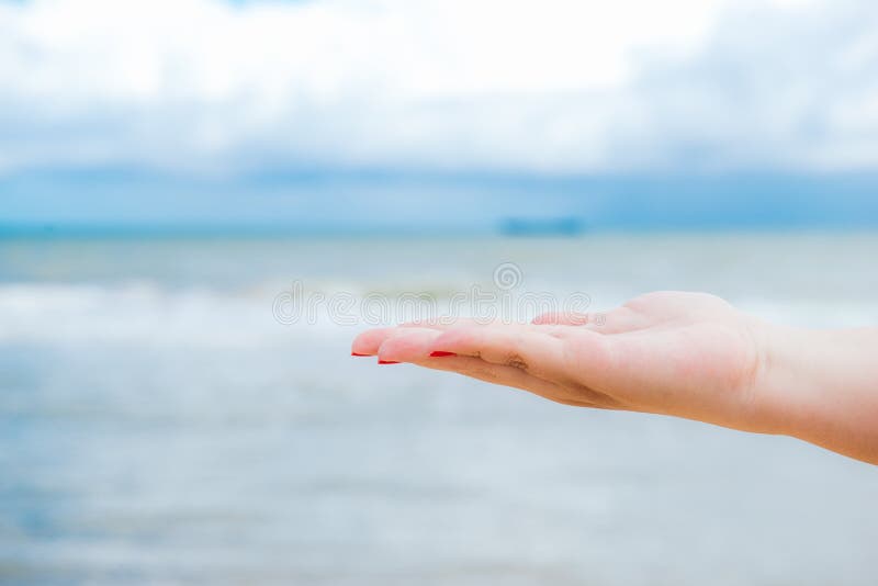 Female Hand Showing Empty Copy Space on the Open Hand Palm Stock Image ...