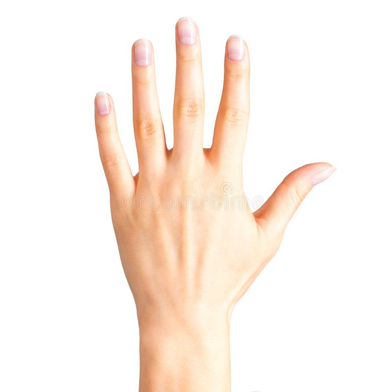 Female Hand Showing Five Fingers and Palm Stock Image - Image of pinch ...