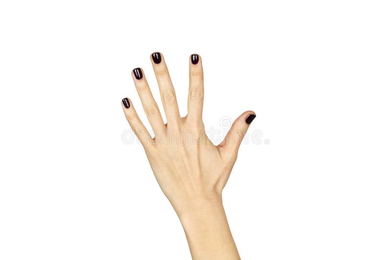 Female Hand Showing Number Five Sign Stock Image - Image of isolated ...