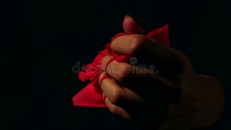 Female Hand Strangling Red Rose. Violent Killing Stock Video - Video of ...
