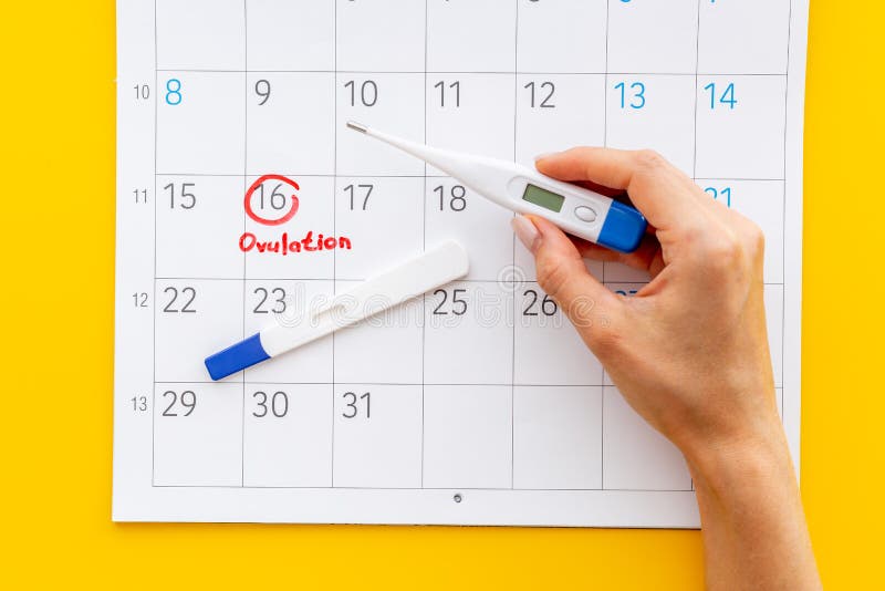 Female Hand with Thermometer Over Calendar Basal Temperature Stock ...
