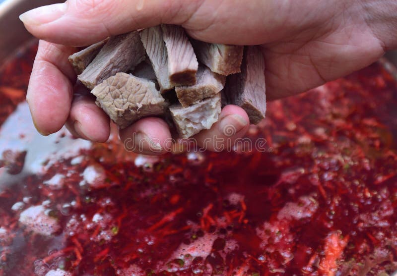 Female Hand Throws Pieces of Chopped Meat into Borscht Stock Image ...