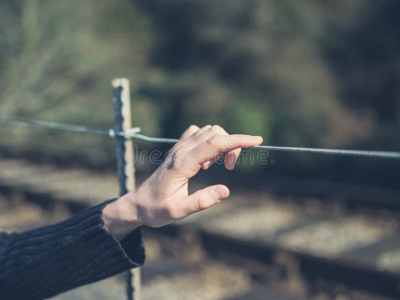 Female Hand Touching Wire Fence Stock Photo - Image of lifestyle ...