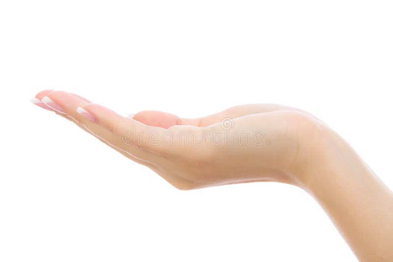 Female hand stock photo. Image of beautiful, isolated - 36915924