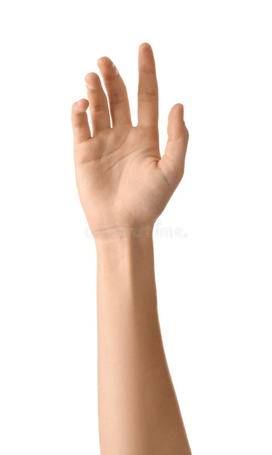 Female Hand on White Background Stock Image - Image of fingers ...