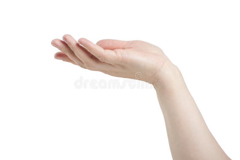Female Hand on a White Background. in Isolation Stock Image - Image of ...