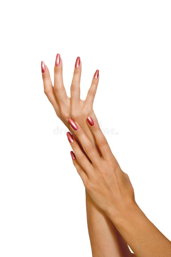 Beautiful female hands. stock photo. Image of gesture - 37013750