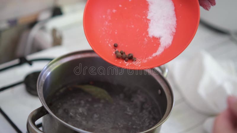 Female Hands Adding Spices To a Pot on the Stovetop Stock Video - Video ...
