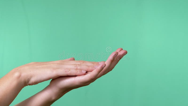 Female Hands Clapping Their Hands on Empty Isolated Green Chroma Key ...