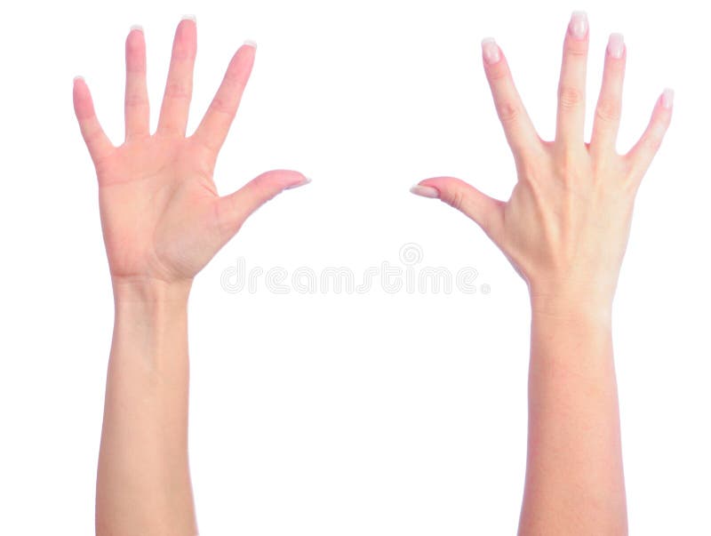 Female hands counting stock image. Image of human, five - 8238911