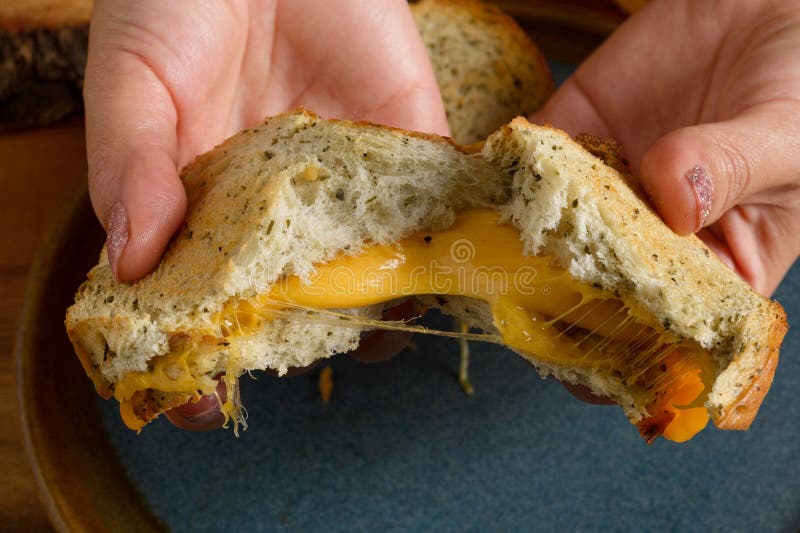 Female Hands Cutting a Grilled Cheese Sandwich Stock Photo - Image of ...