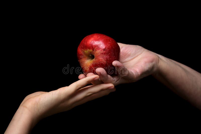 Female hands giving apple stock image. Image of female - 36133047