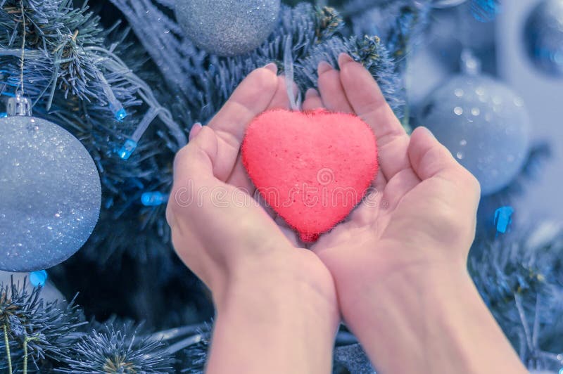 Female Hands Hold Heart on Christmas Tree Stock Image - Image of heart ...