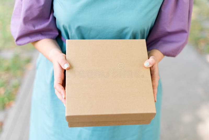 Female Hands Hold a Simple Cardboard Gift Box. Stock Photo - Image of ...
