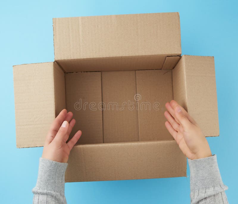 Female Hands are Holding an Empty Open Box of Brown Cardboard Stock ...