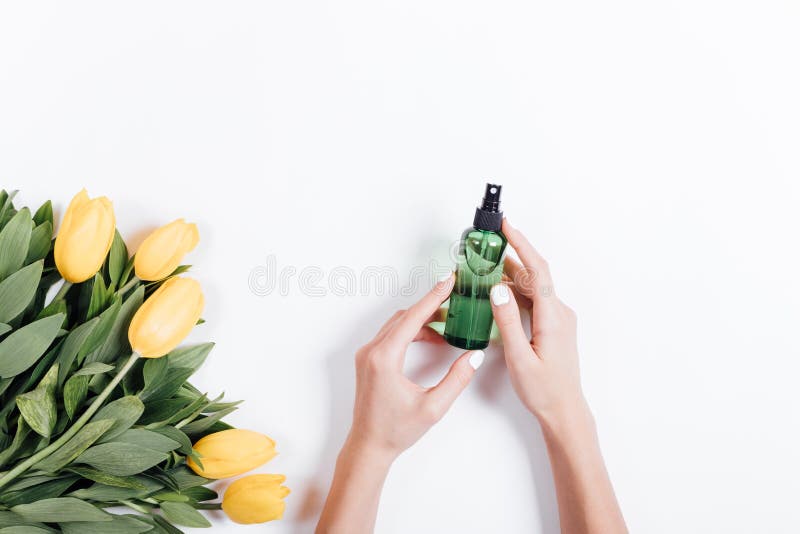 Fragrant Water Lily - Nymphaea Odorata Stock Image - Image of plant ...