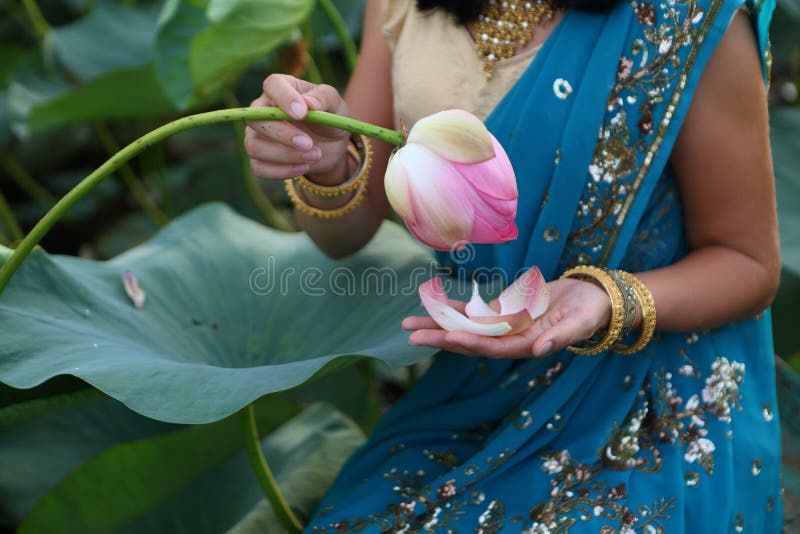 407 Hands Holding Lotus Flower Stock Photos - Free & Royalty-Free Stock ...