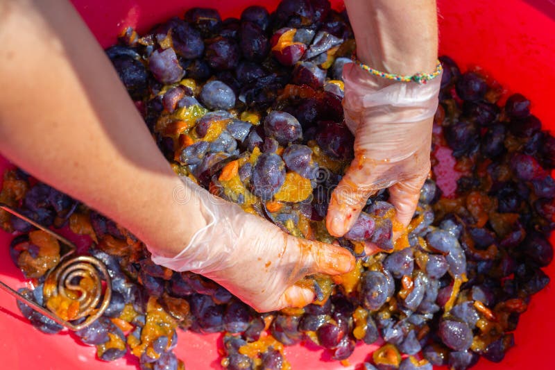 Female Hands Knead Plum Pulp To Prepare Plum Wine Stock Photo - Image ...