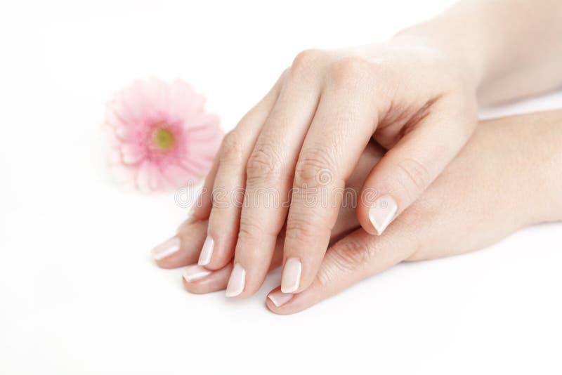 Female Hands after Manicure Stock Photo - Image of fragrance, hands ...