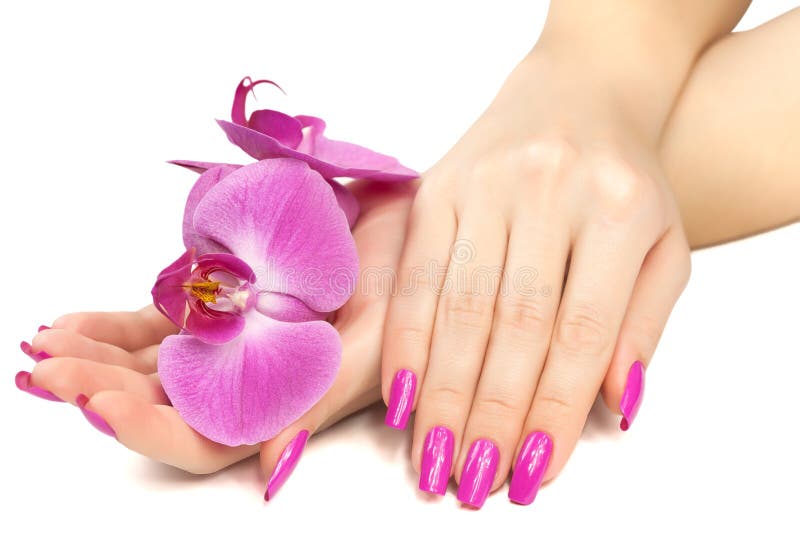 Female Hands with Pink Orchid Flower. Stock Image - Image of orchid ...