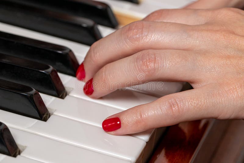 Female Hands of a Piano Player Stock Photo - Image of instrument ...