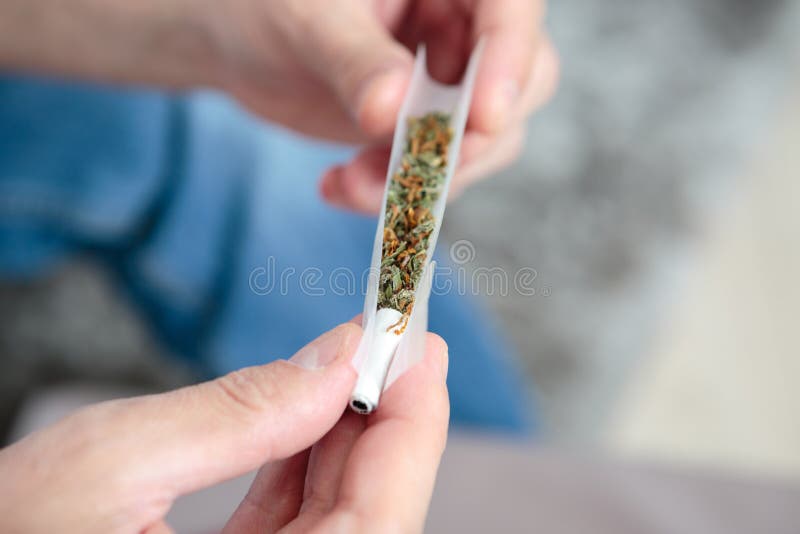Female hands rolling joint stock image. Image of smoking - 99649047