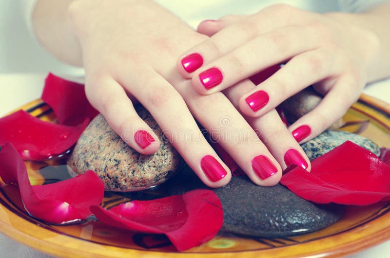Female hands in salon stock image. Image of blossom, lifestyle - 65690103