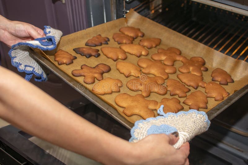 Female Hands Take Fresh Gingerbread Cookie from the Oven. One of the ...