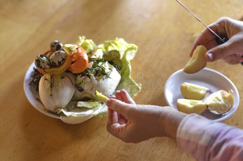 Female Hands Throwing Apple Scraps into Food Container Stock ...