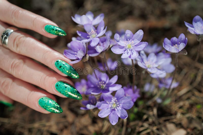 Female Hands Touch the First Spring Blue Flowers Stock Image - Image of ...