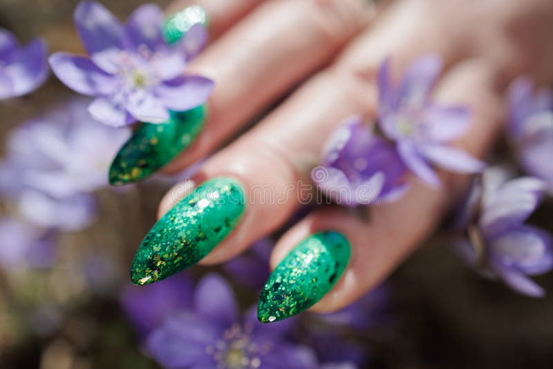 Female Hands Touch the First Spring Blue Flowers Stock Photo - Image of ...