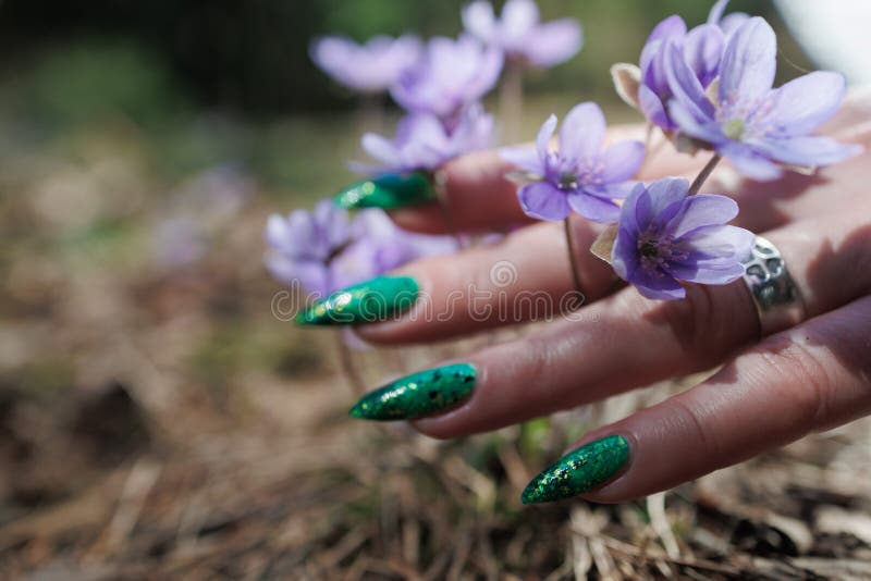 Female Hands Touch the First Spring Blue Flowers Stock Image - Image of ...
