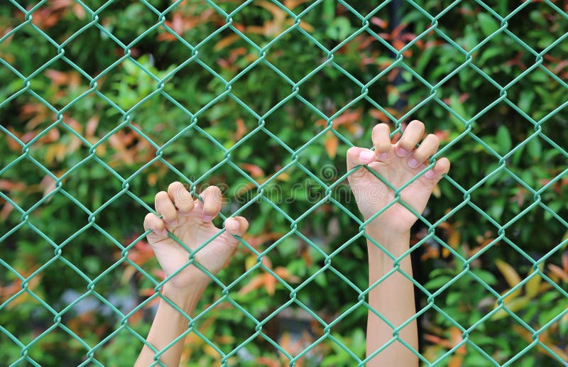 Female Hands Touching Iron Mesh Stock Image - Image of custody ...