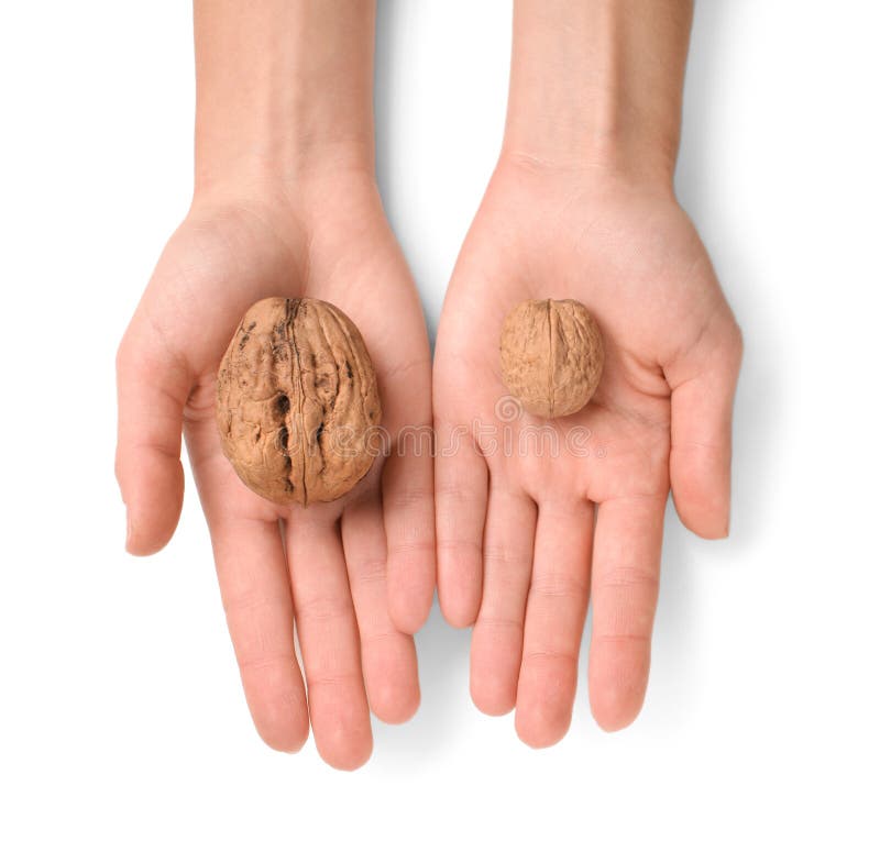 Walnuts in hands stock photo. Image of hands, arms, walnut - 18226602