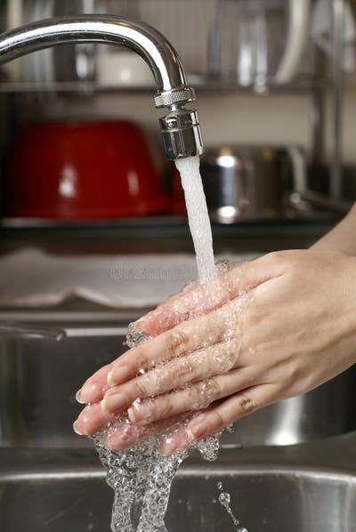 Female hands washing stock photo. Image of female, scrub - 7564856