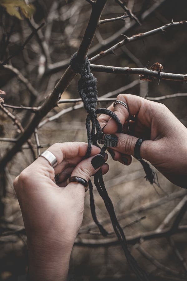 Female Hands Weaving a Macrame Braid on a Tree Stock Image - Image of ...