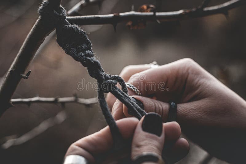 Female Hands Weaving a Macrame Braid on a Tree Stock Image - Image of ...