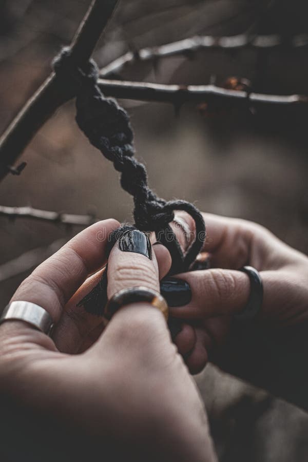 Female Hands Weaving a Macrame Braid on a Tree Stock Image - Image of ...