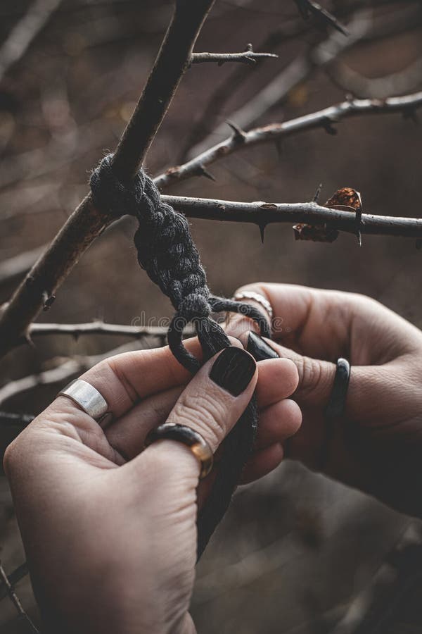 Female Hands Weaving a Macrame Braid on a Tree Stock Image - Image of ...