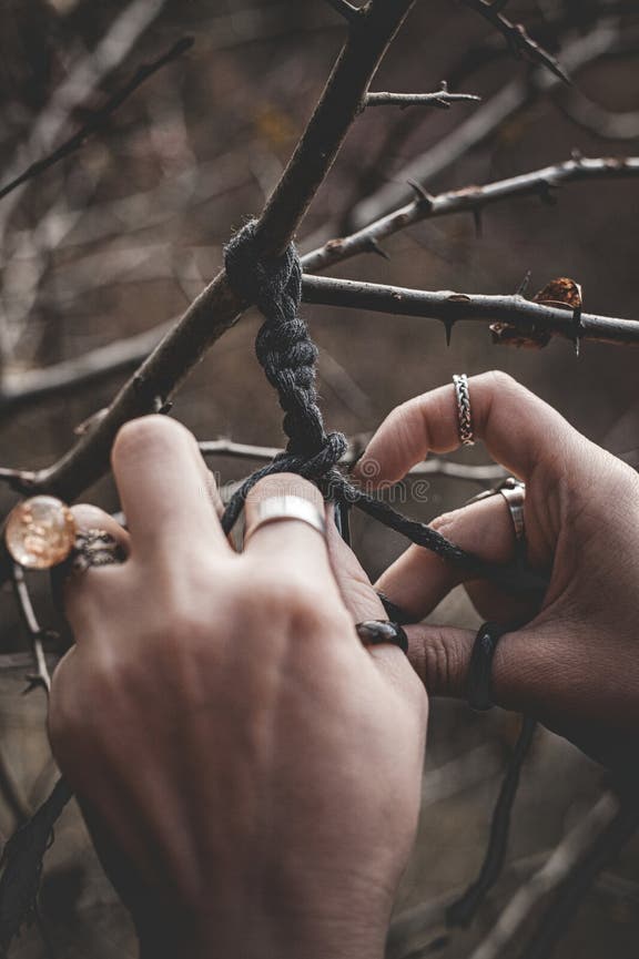 Female Hands Weaving a Macrame Braid on a Tree Stock Photo - Image of ...