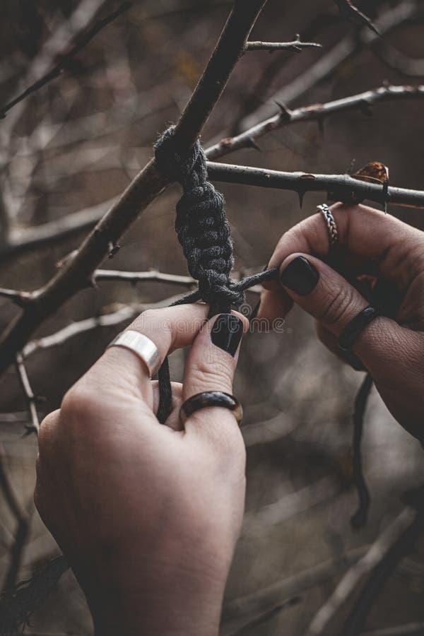 Female Hands Weaving a Macrame Braid on a Tree Stock Image - Image of ...