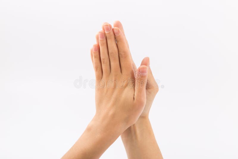 Female Hands on a White Background. Gestures Stock Photo - Image of ...